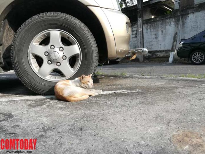 รีวิว Huawei GR5 2017 ในความเรียบง่าย โดดเด่นด้วยกล้องหลังคู่ กับราคาไม่เกินหมื่น