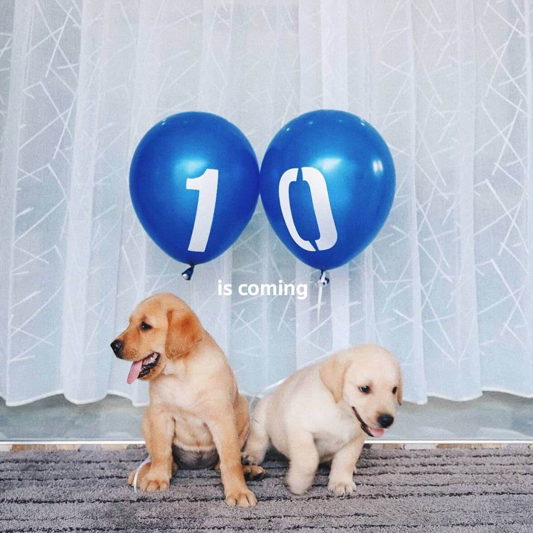 10 is coming 02 - techhub