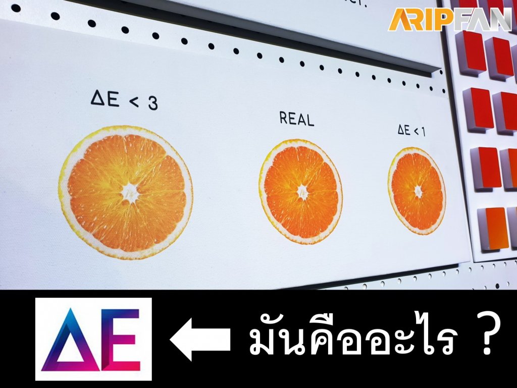 ไขข้อสงสัย มาตรฐาน Delta E ในจอ Monitor คืออะไร และมีแล้วดียังไง