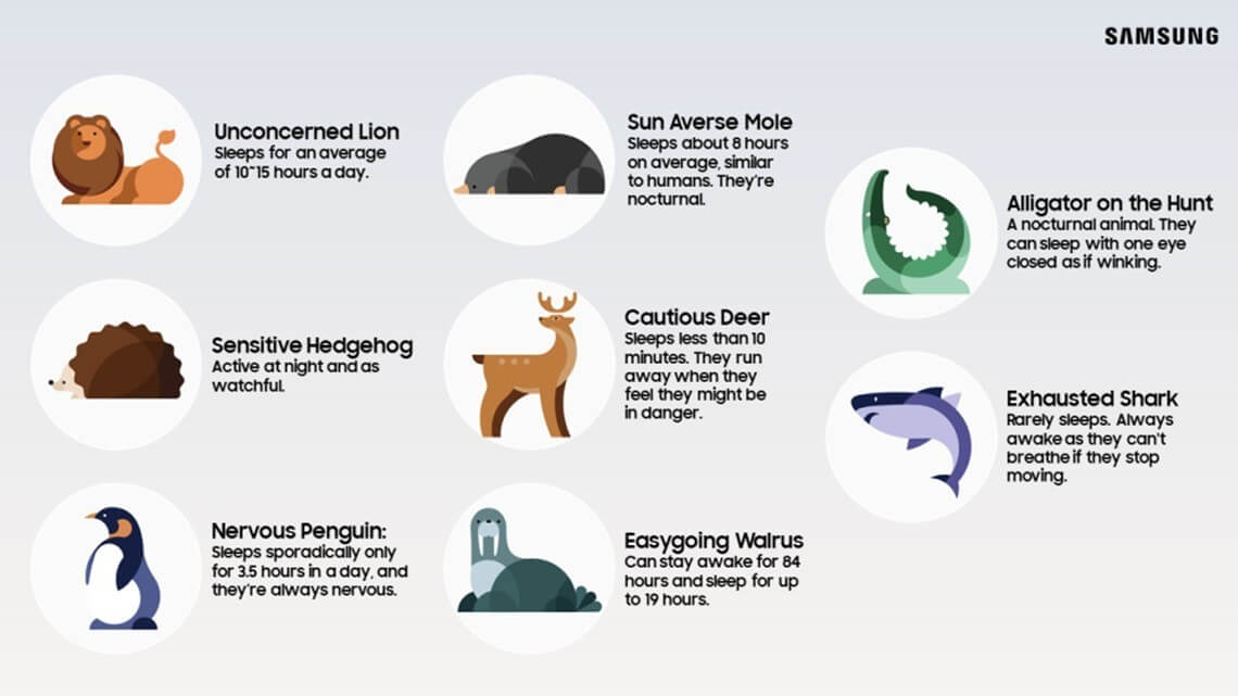 Sleep pattern - techhub