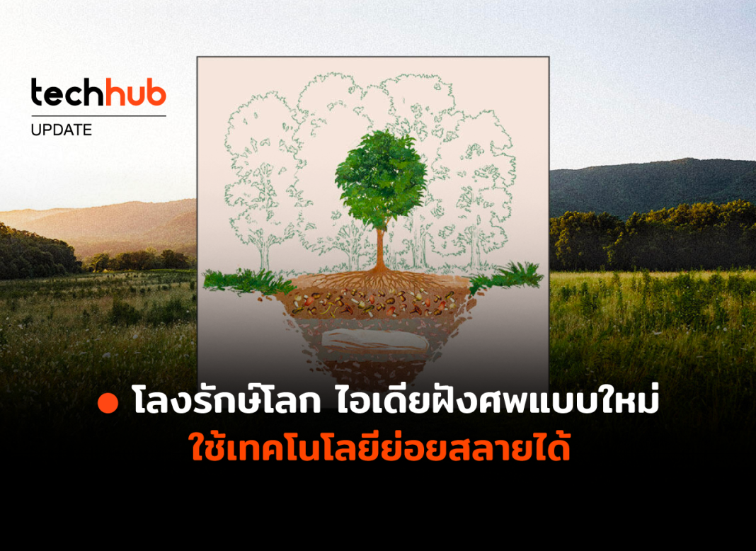 โลงรักษ์โลก ไอเดียฝังศพแบบใหม่ ใช้เทคโนโลยีย่อยสลายได้ - techhub