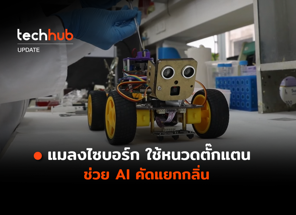 แมลงไซบอร์ก นักวิจัยใช้หนวดตั๊กแตน ช่วย AI คัดแยกกลิ่น