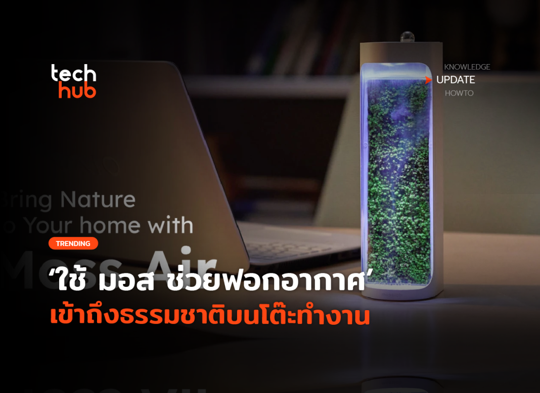 เครื่องฟอกอากาศใหม่ Moss Air ใช้ต้นไม้จริง แถมตั้งบนโต๊ะได้