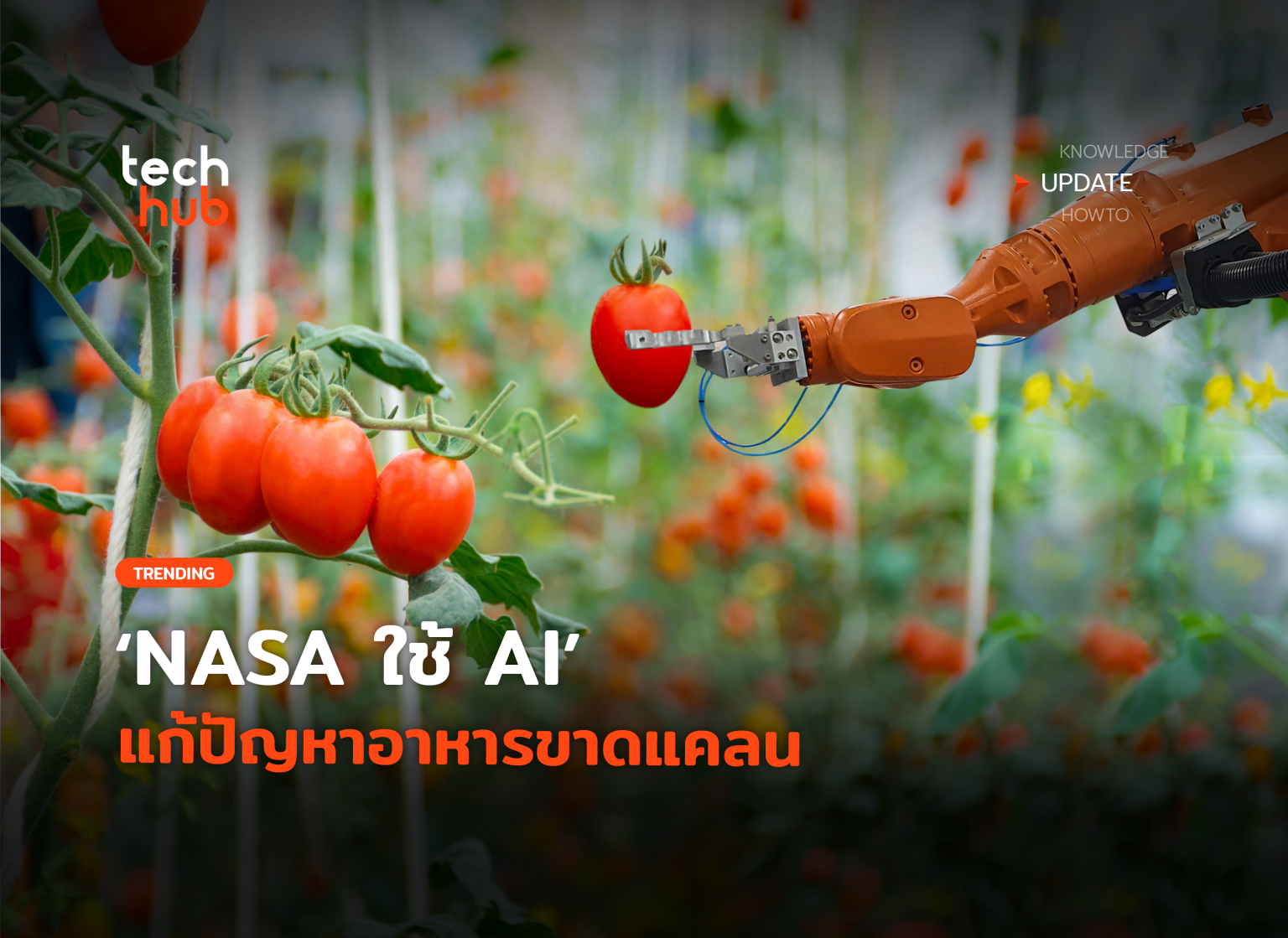 เป็นไปได้ NASA ใช้ AI แก้ปัญหาอาหารขาดแคลน