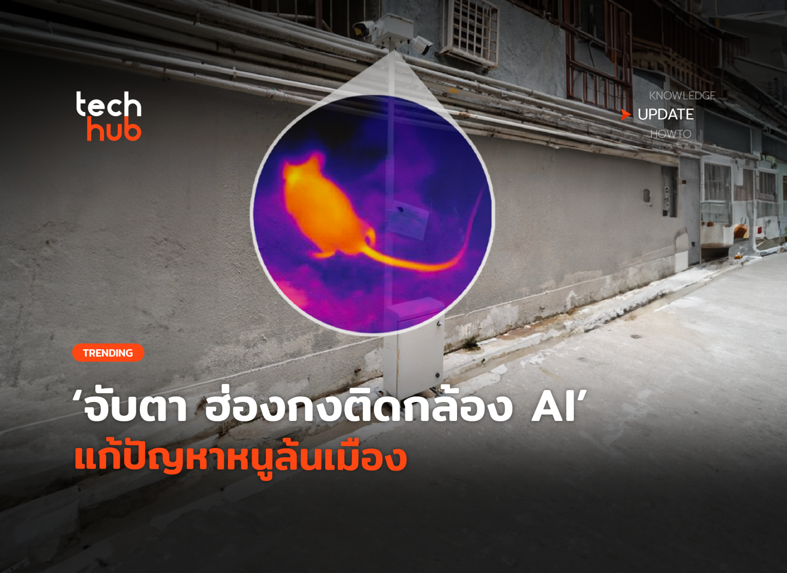 จับตา ฮ่องกงติดกล้อง AI แก้ปัญหาหนูล้นเมือง