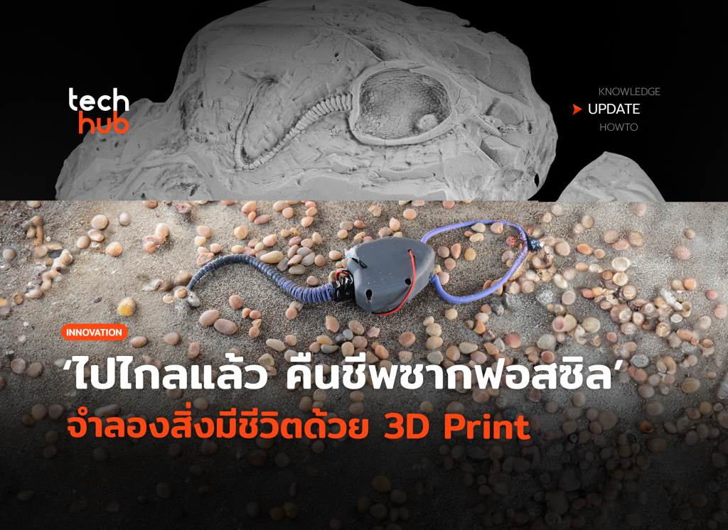 ไปไกลแล้ว คืนชีพซากฟอสซิล จำลองสิ่งมีชีวิตด้วย 3D Print