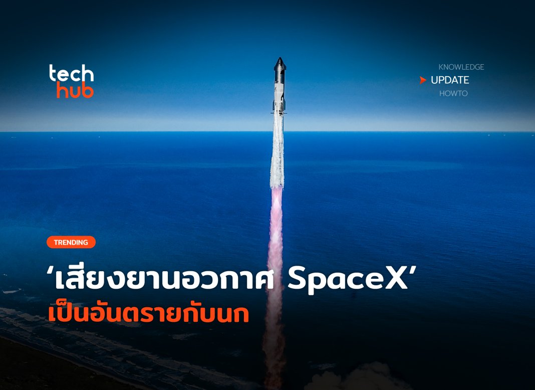 เกินค่ามาตรฐาน เสียงยานอวกาศ SpaceX เป็นอันตรายกับนก