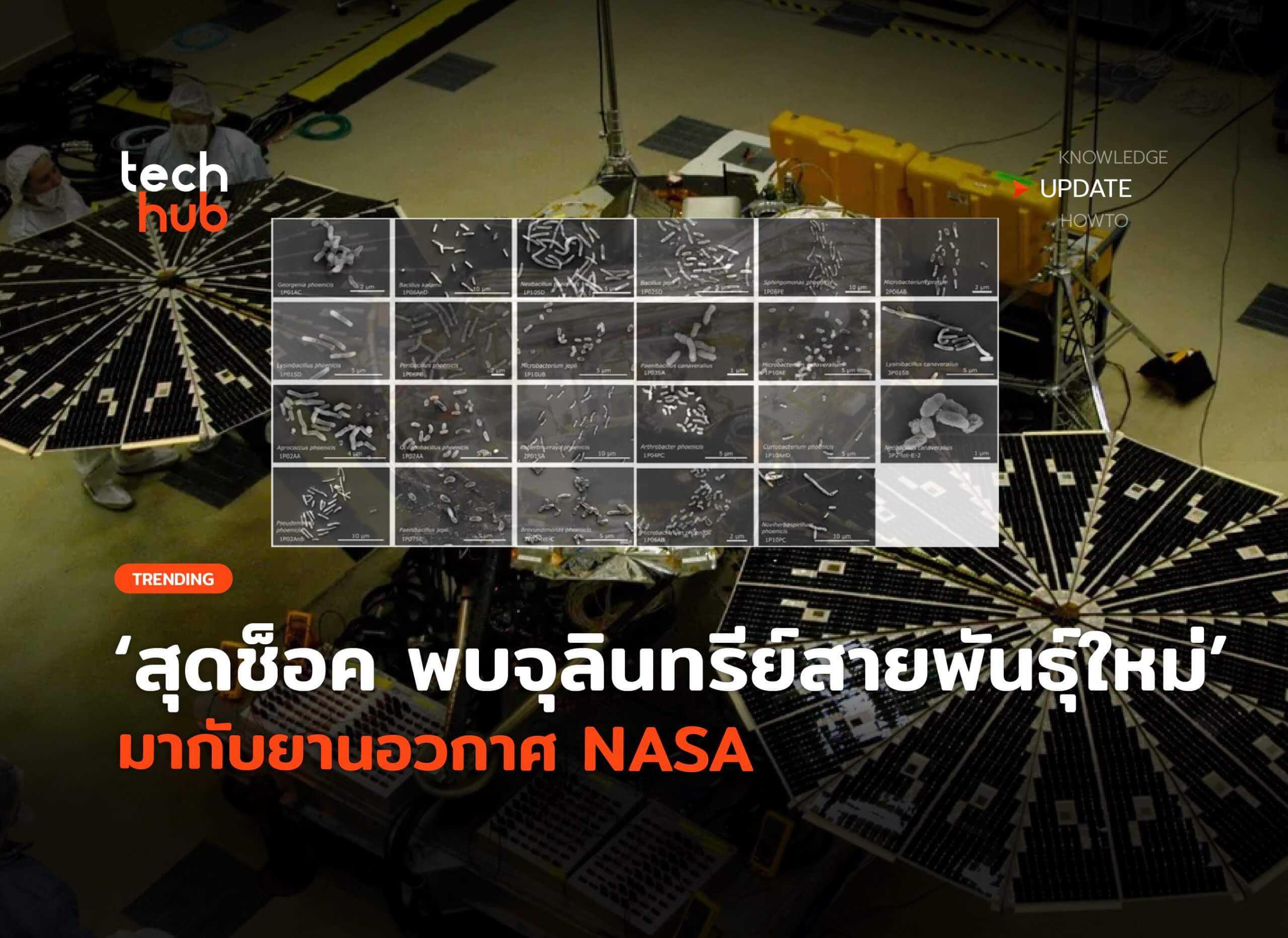 สุดช็อค พบจุลินทรีย์สายพันธุ์ใหม่ มากับยานอวกาศ NASA